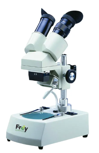 Binocular Fixed Magnification Stereo Microscope, 20x Magnification ...