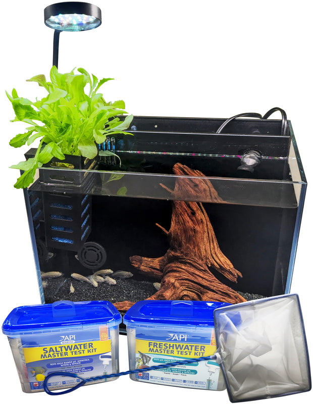 Complete Recirculation Systems - Aquatic Equipment & Design Inc.