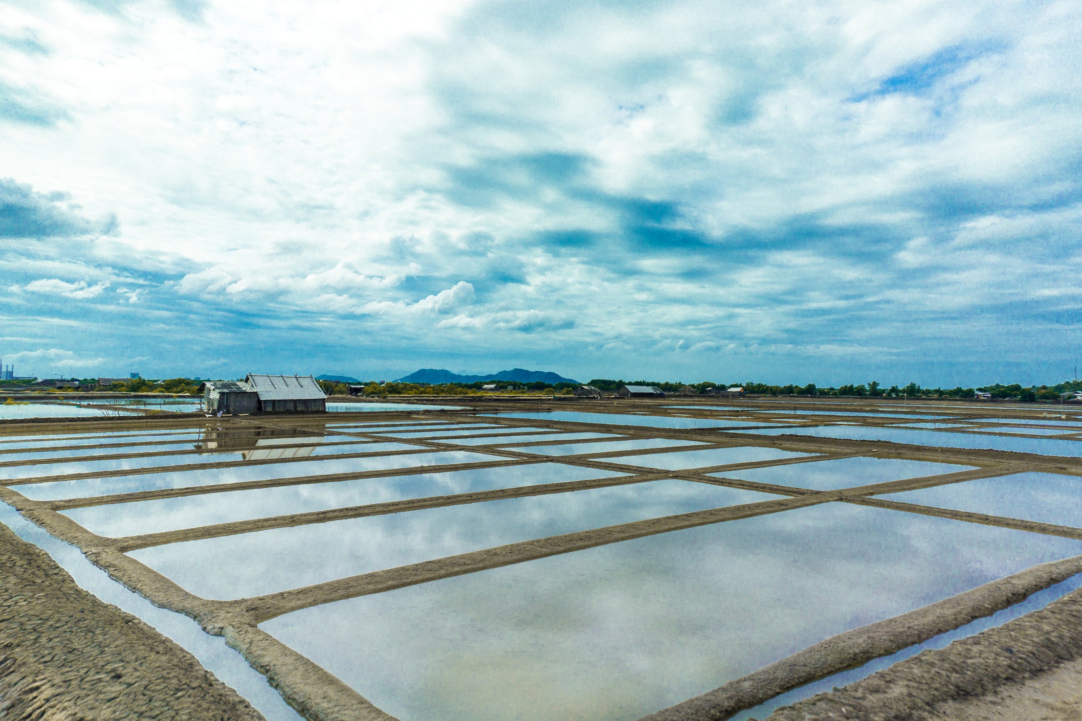 Aquaculture, Aquarium & Zoological Equipment and Design